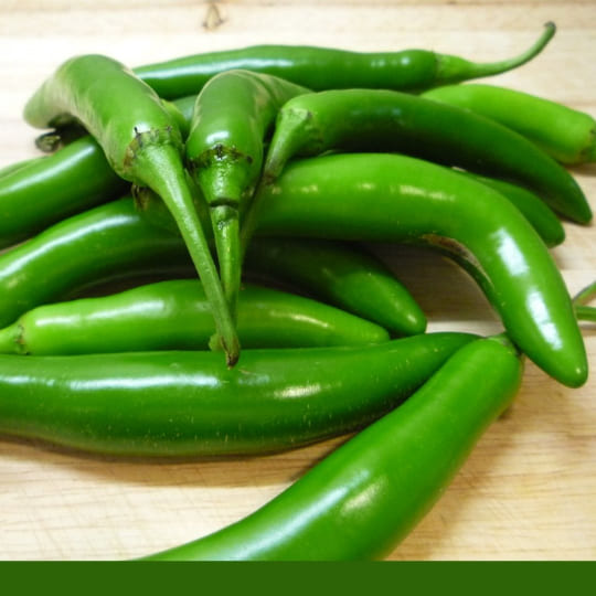 Compra, vende y consulta precios agroalimentarios | Smattcom