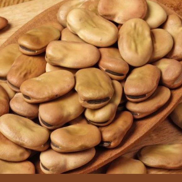 Compra, vende y consulta precios agroalimentarios | Smattcom