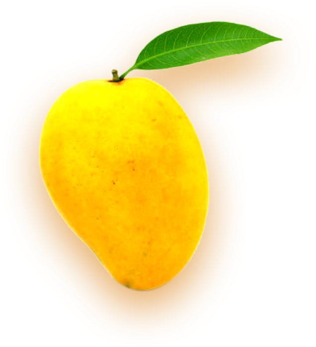 Consulta precios del Mango Ataulfo durante el mes de mayo 2021 en ...