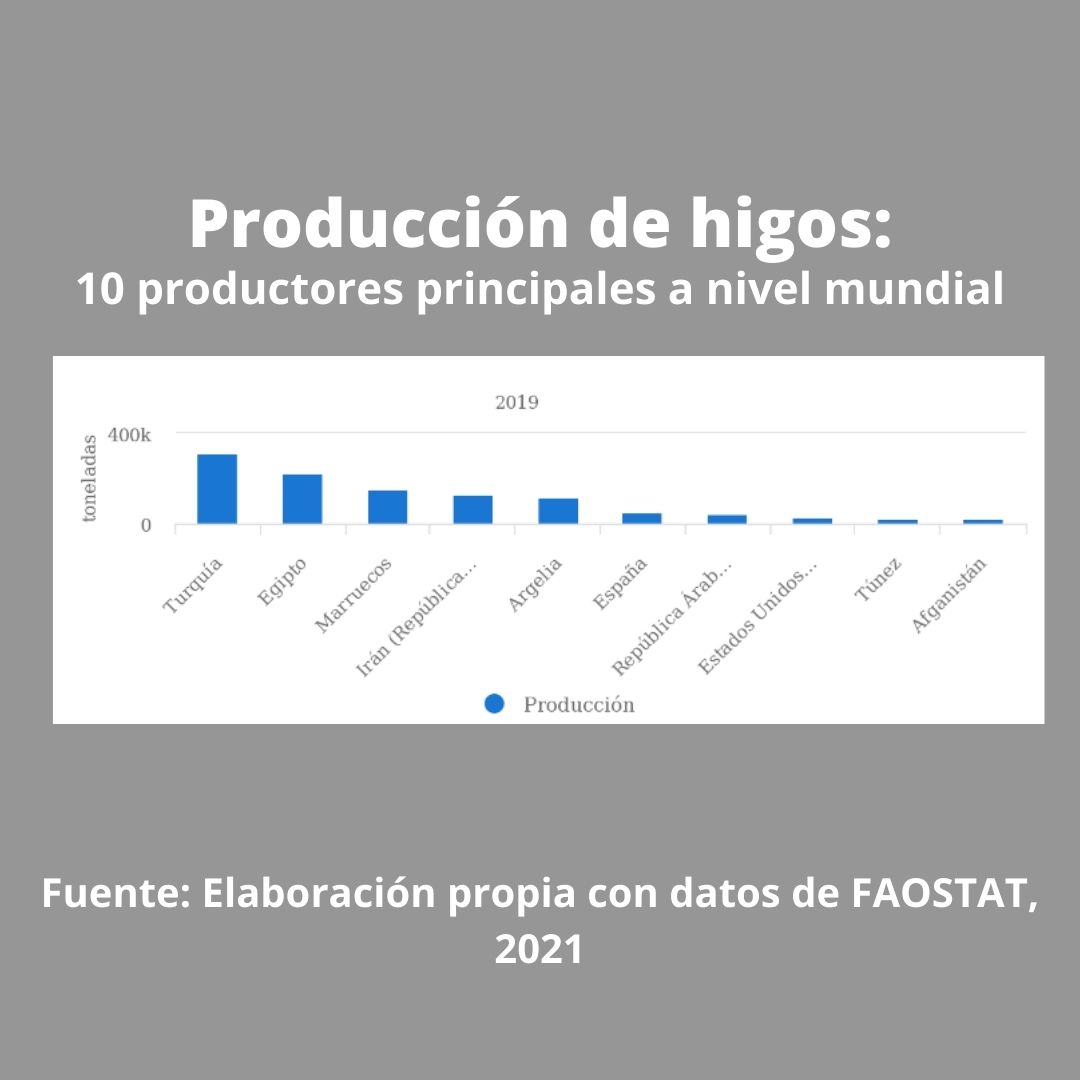 Consulta precios y comercializa higo en Smattcom