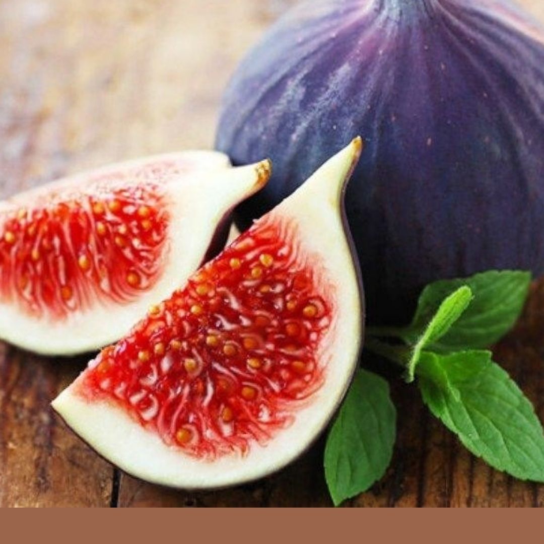 Consulta precios y comercializa higo en Smattcom